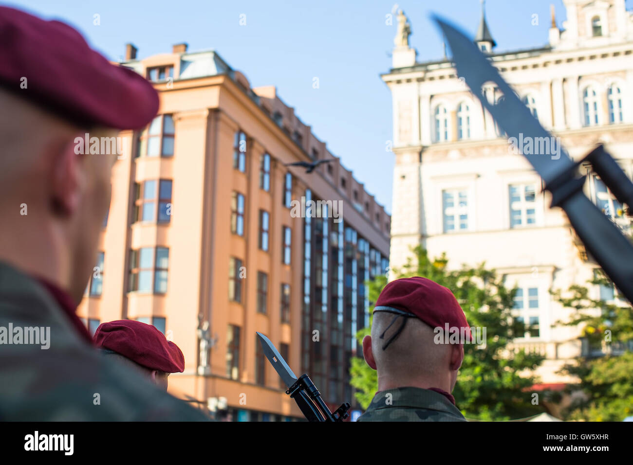 Polish soldier uniform hi-res stock photography and images - Alamy