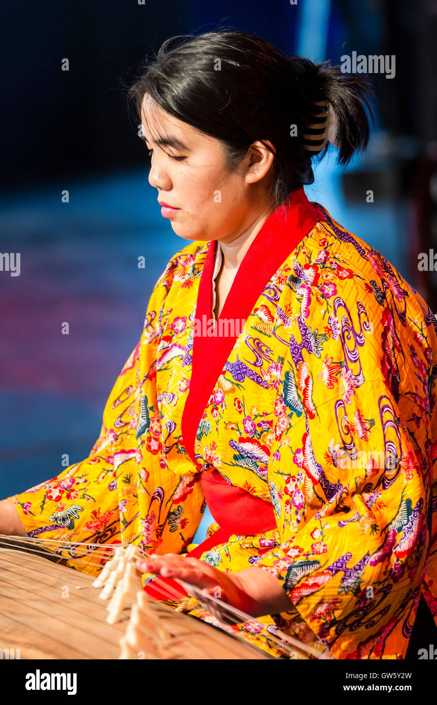 Japanese woman musician playing the koto Stock Photo - Alamy