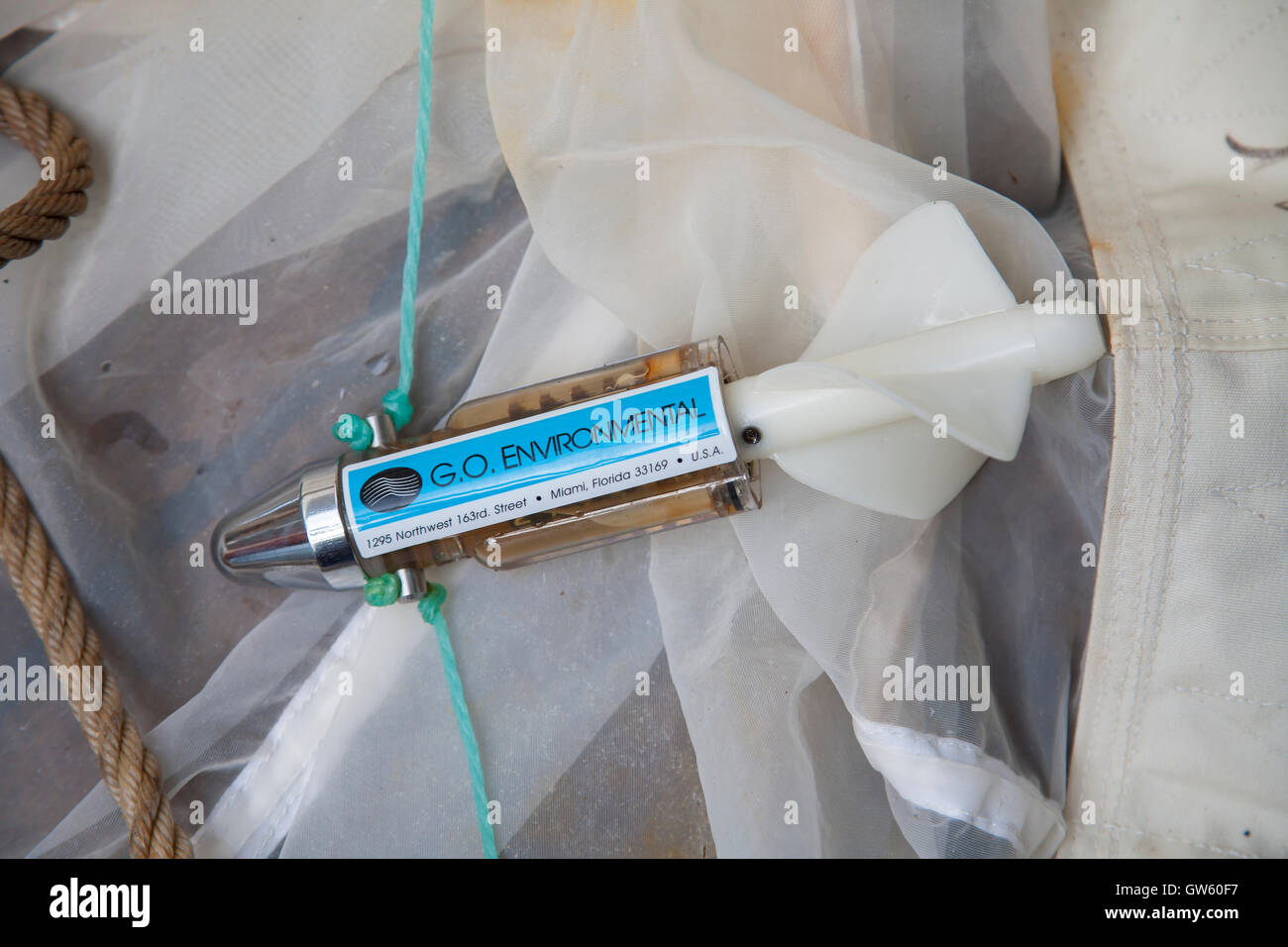 Marine Life Studies Stock Photos & Marine Life Studies Stock Images - Alamy