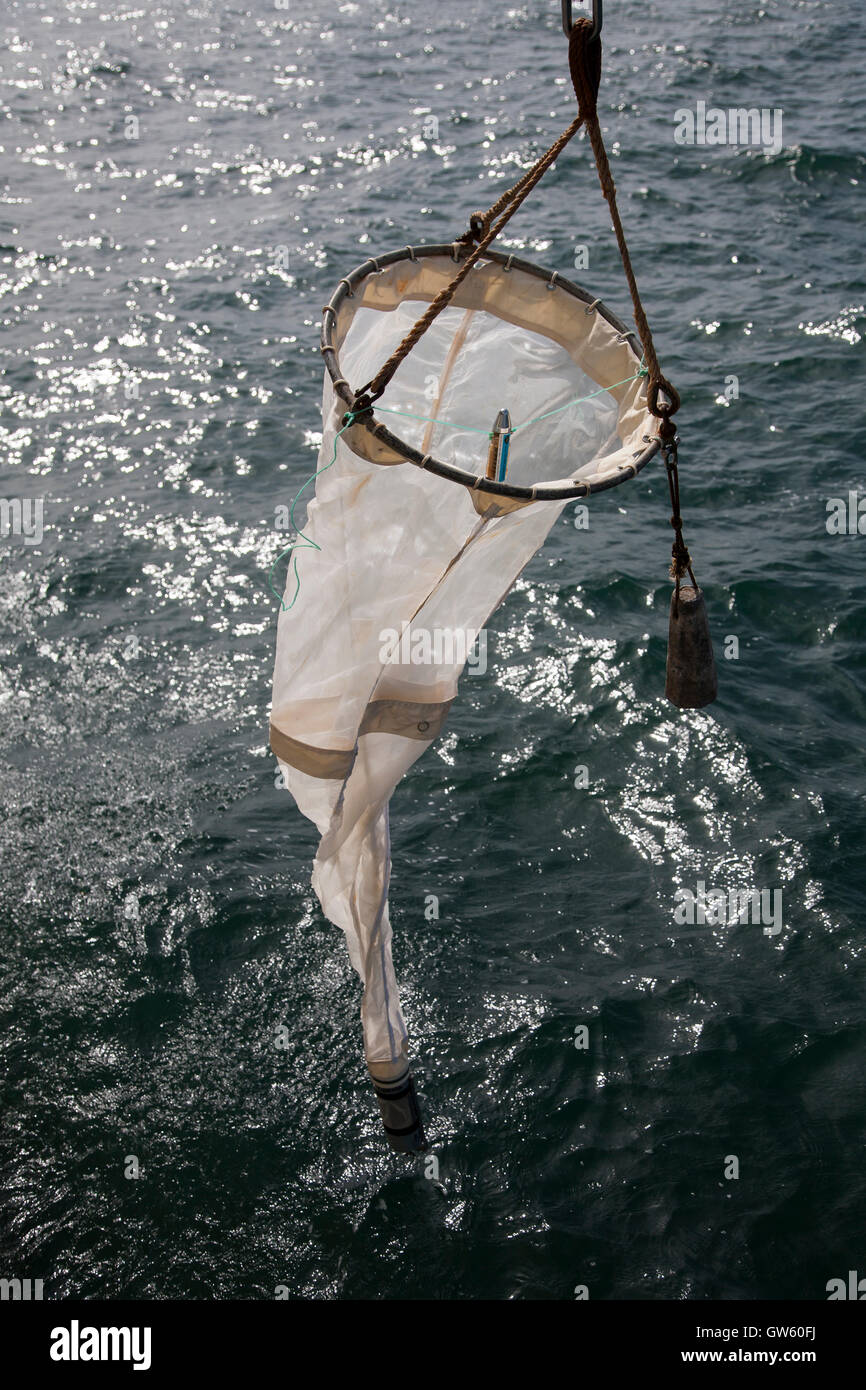 Plankton Net High Resolution Stock Photography and Images - Alamy