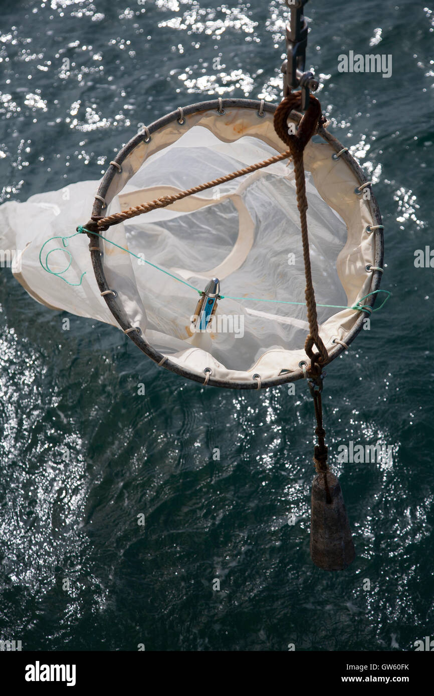 Plankton Net High Resolution Stock Photography and Images - Alamy