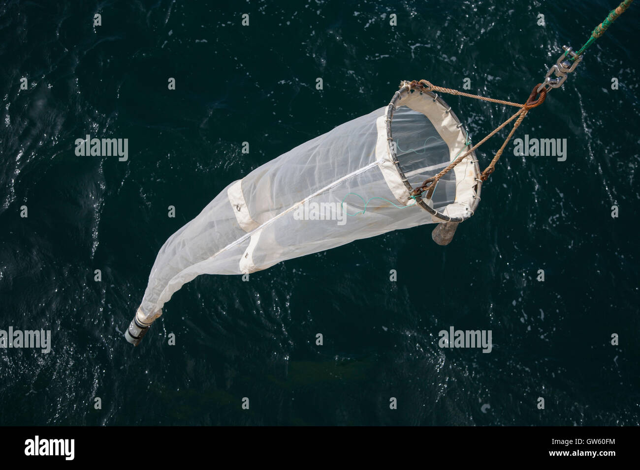 Fine Meshed High Resolution Stock Photography and Images - Alamy