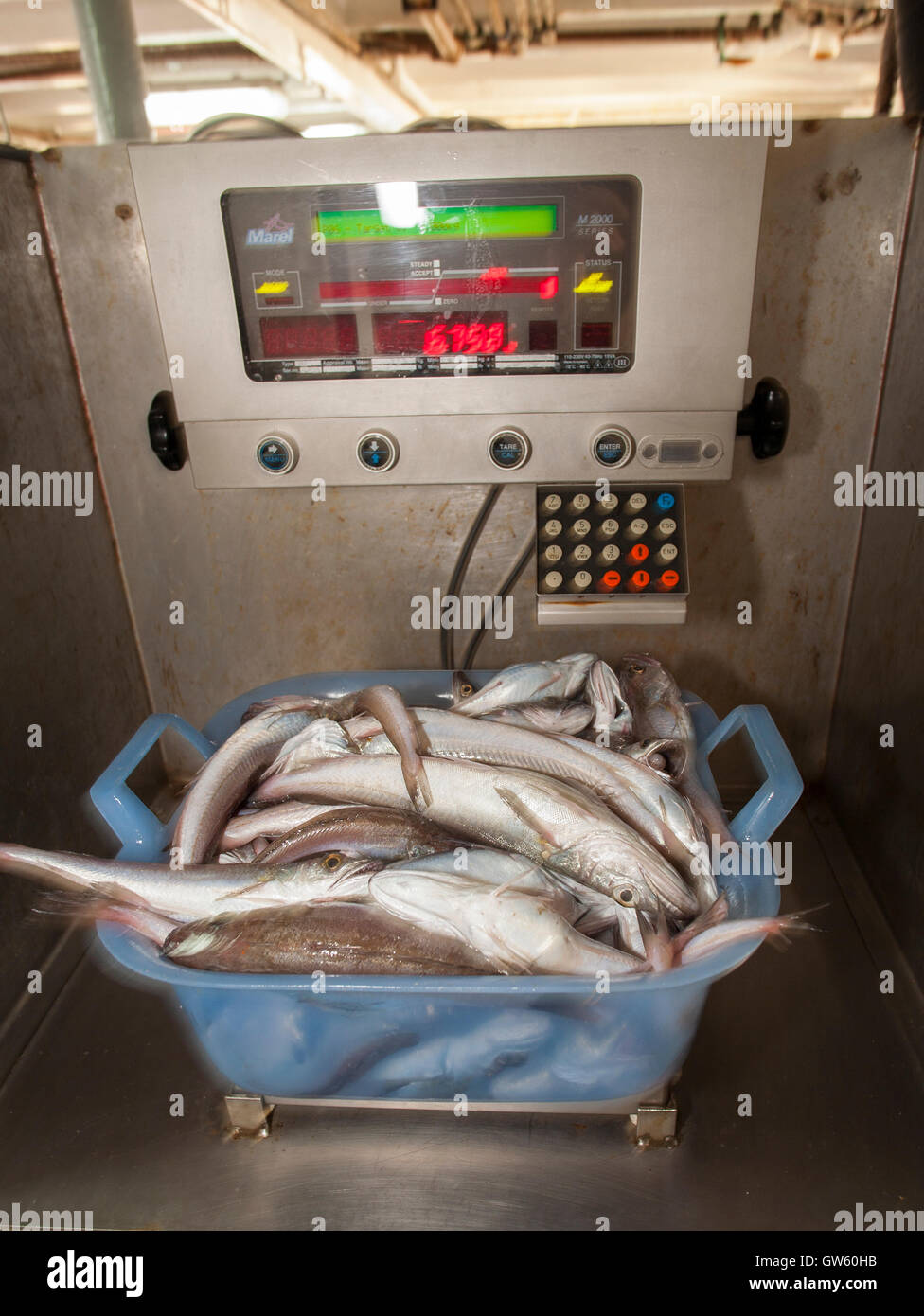 Fisheries Research Boat High Resolution Stock Photography and Images ...