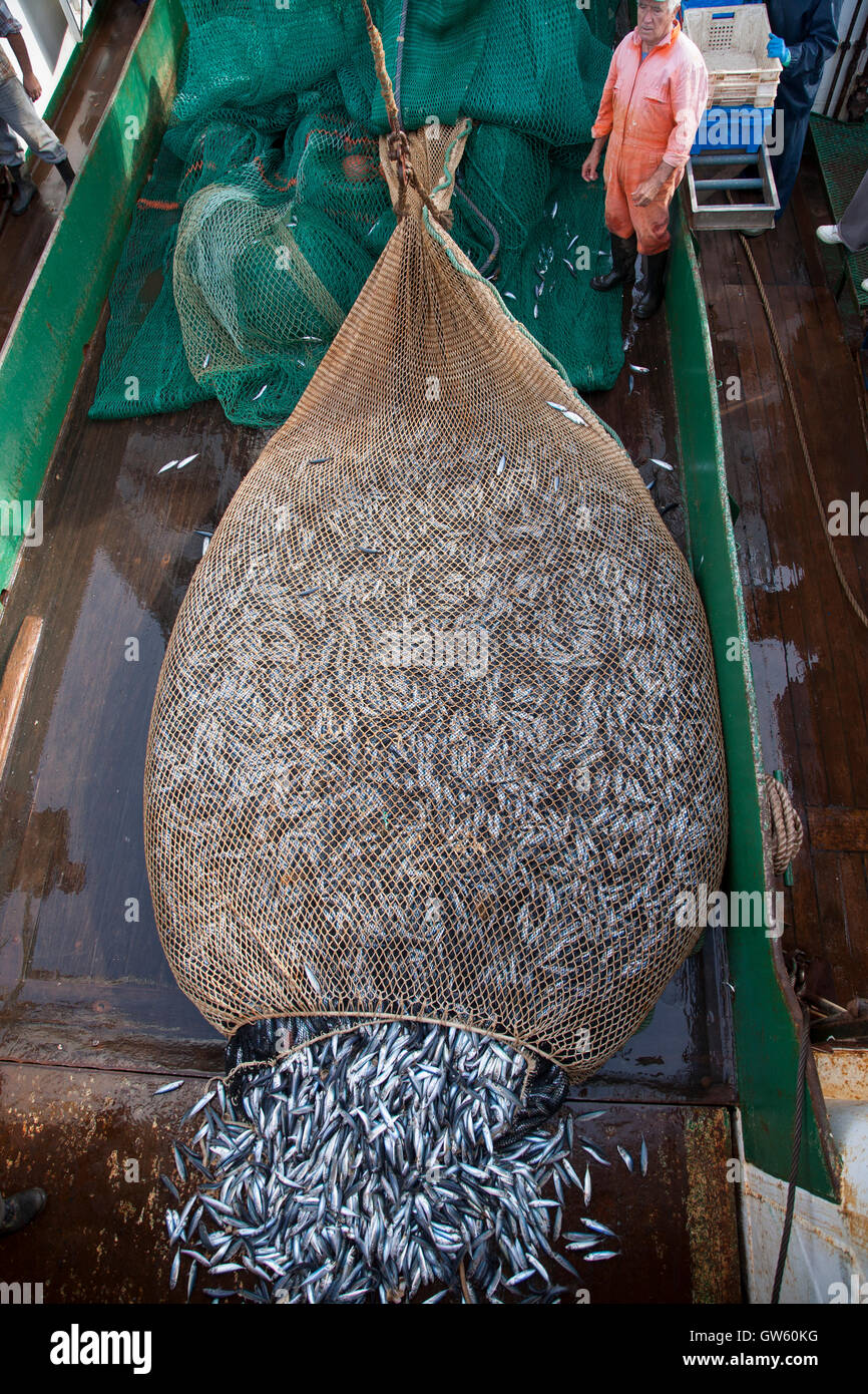Trawl Net High Resolution Stock Photography and Images - Alamy
