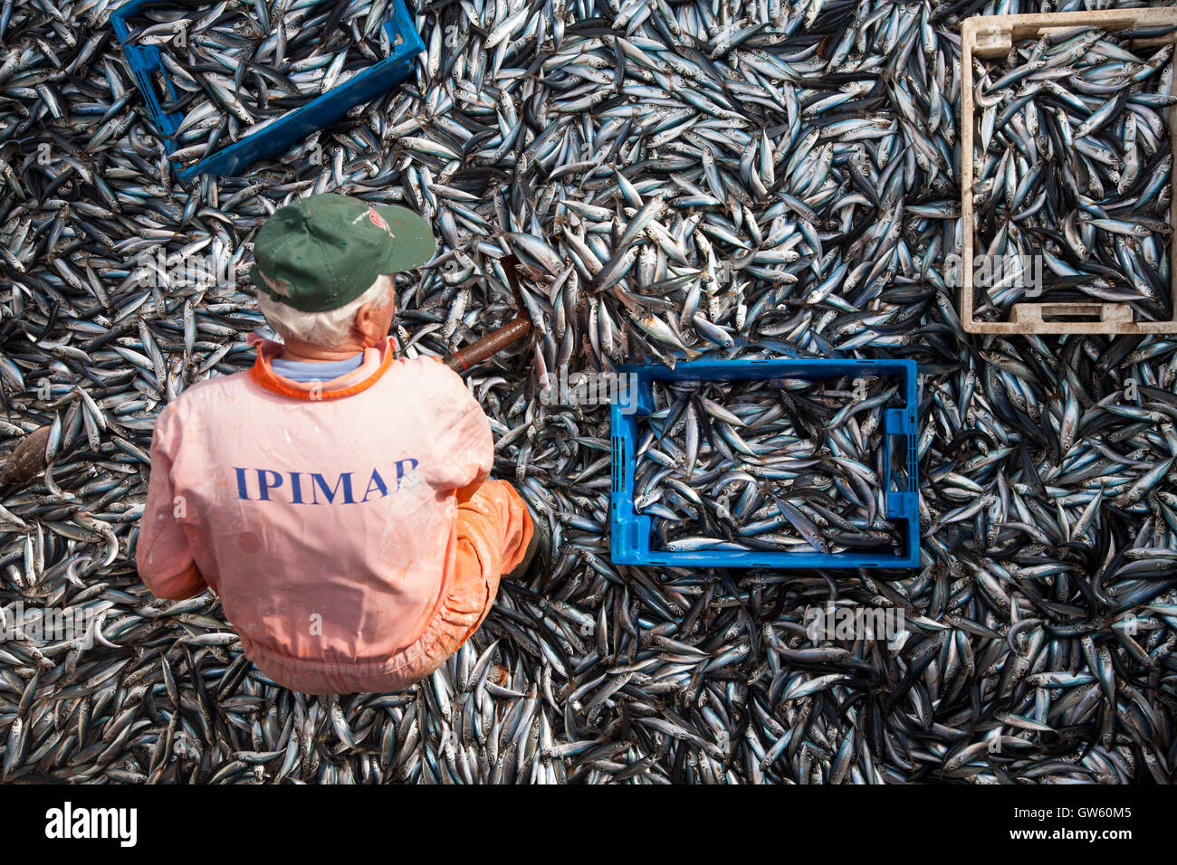 Trawling Catch High Resolution Stock Photography and Images - Alamy