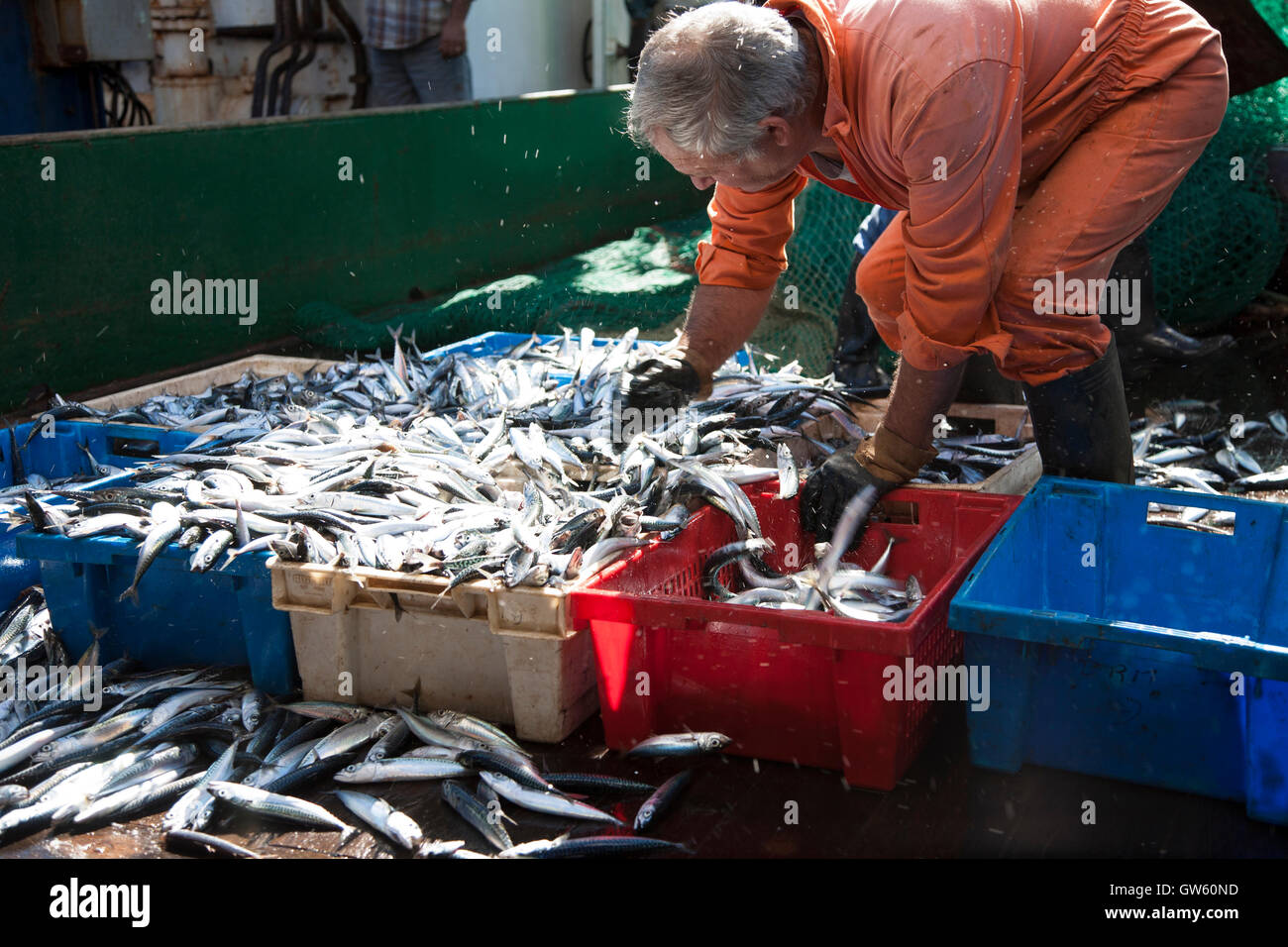 Catch Fishes High Resolution Stock Photography and Images - Alamy