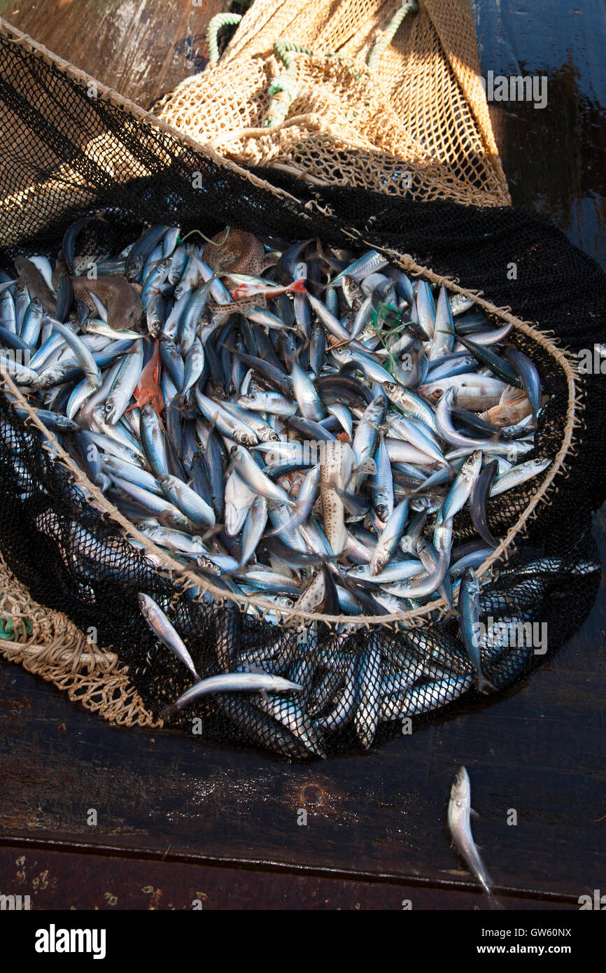 Commercial Trawl Net High Resolution Stock Photography and Images - Alamy