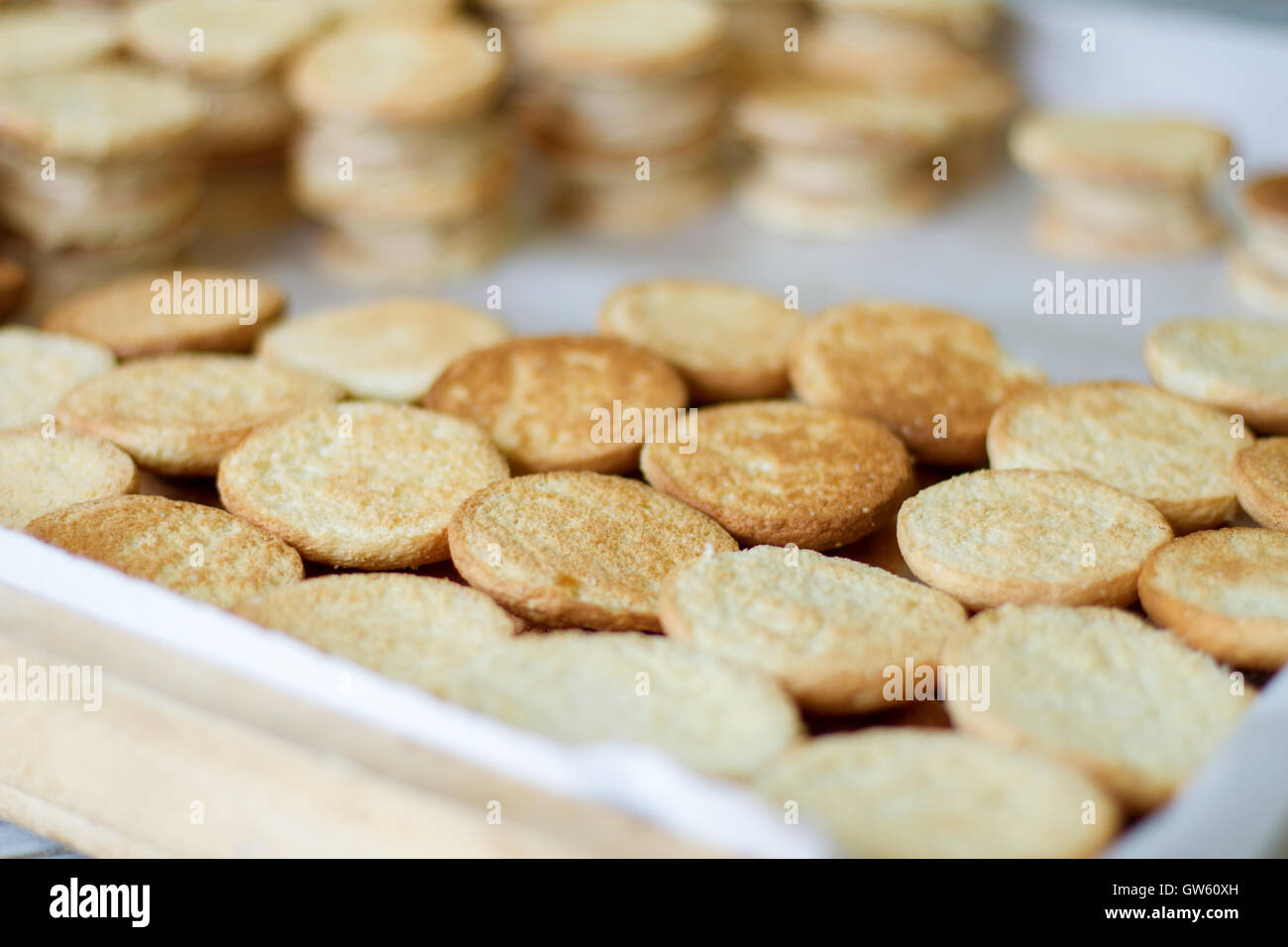 Round yellow cookies Stock Photo - Alamy
