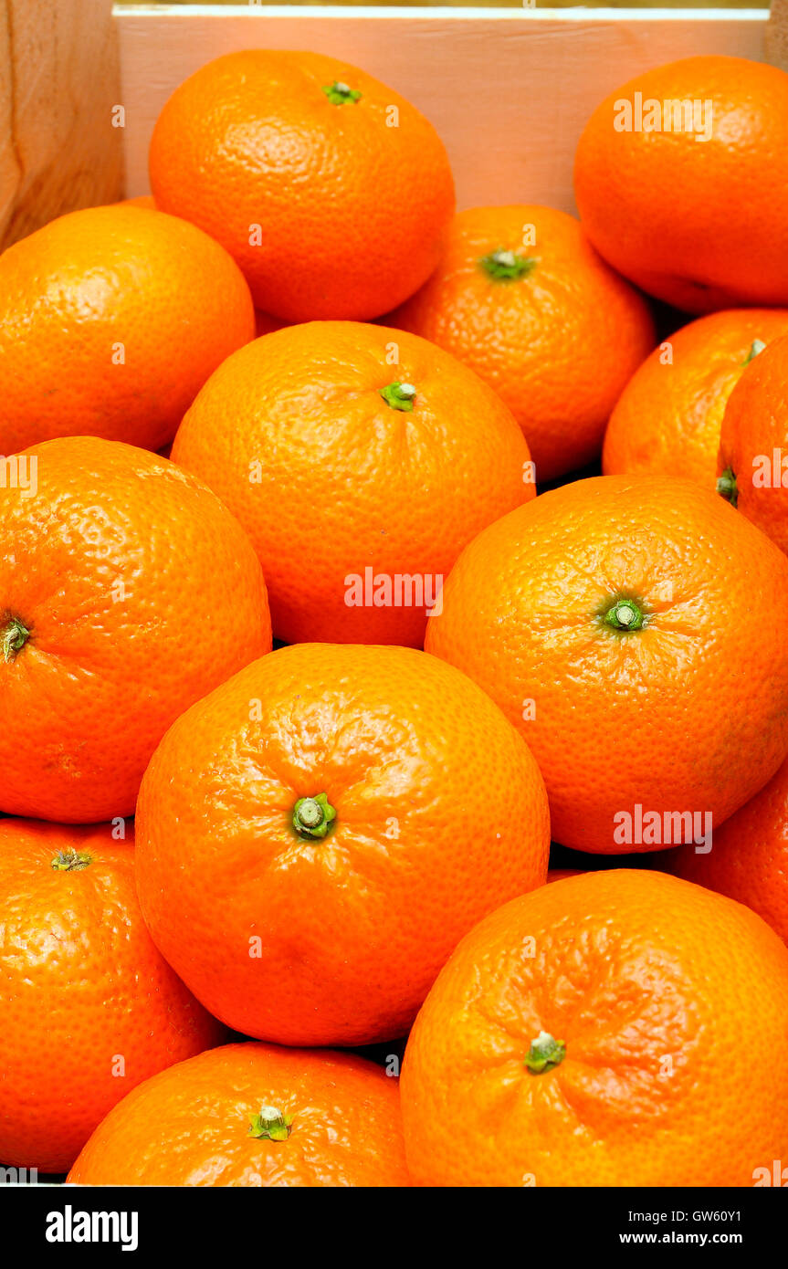 Lot of orange mandarins pack Stock Photo - Alamy