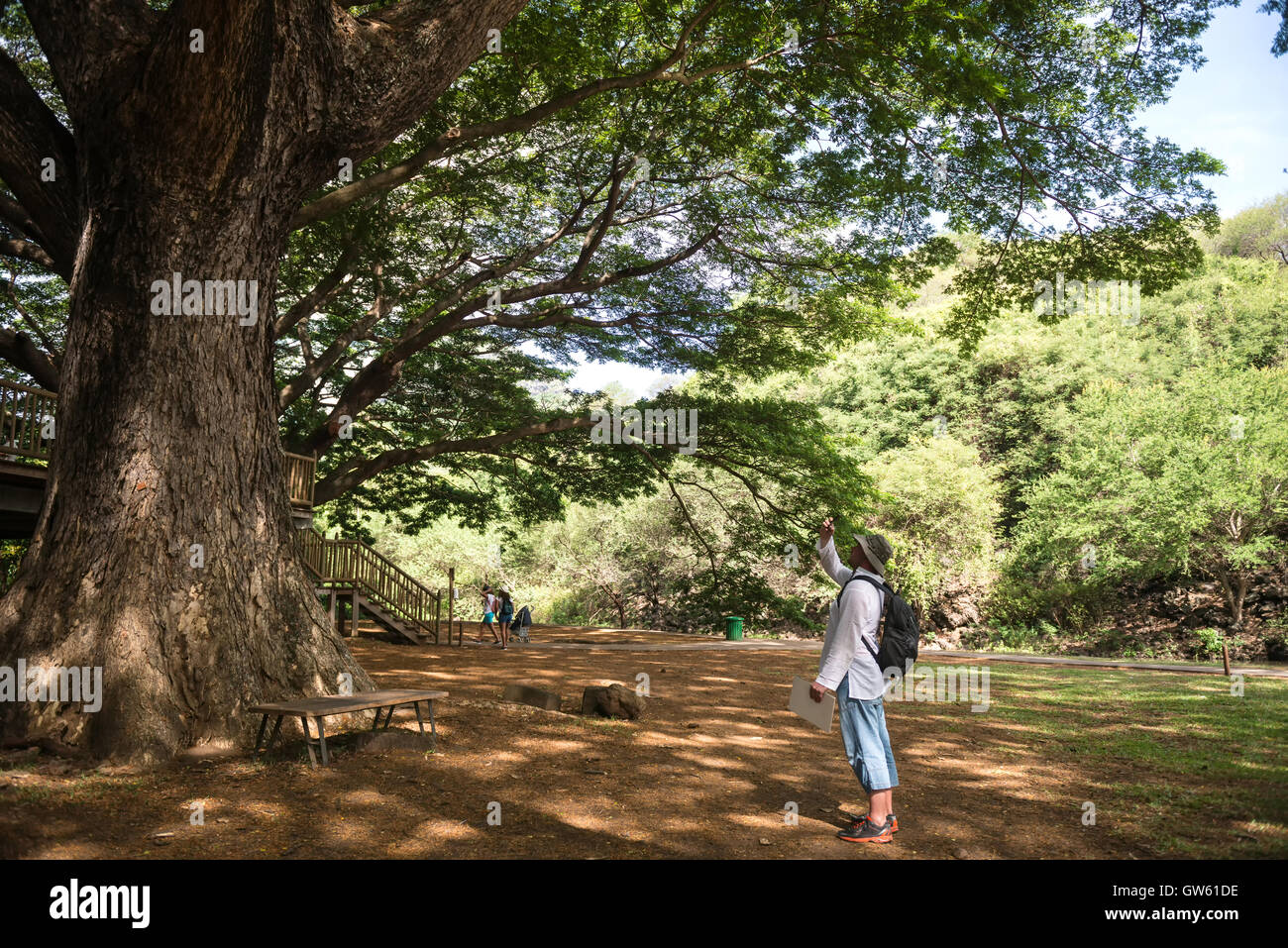 man photographed tree. Selfie Stock Photo - Alamy