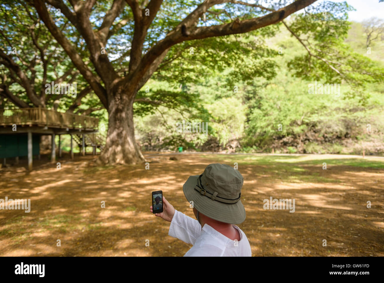 man photographed tree. Selfie Stock Photo - Alamy