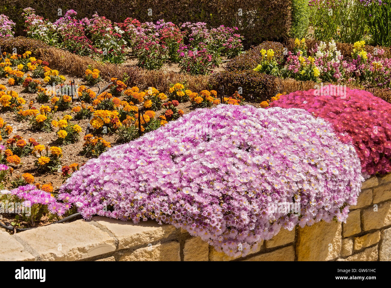 Cyprus Paphos Flowerbed Stock Photo - Alamy
