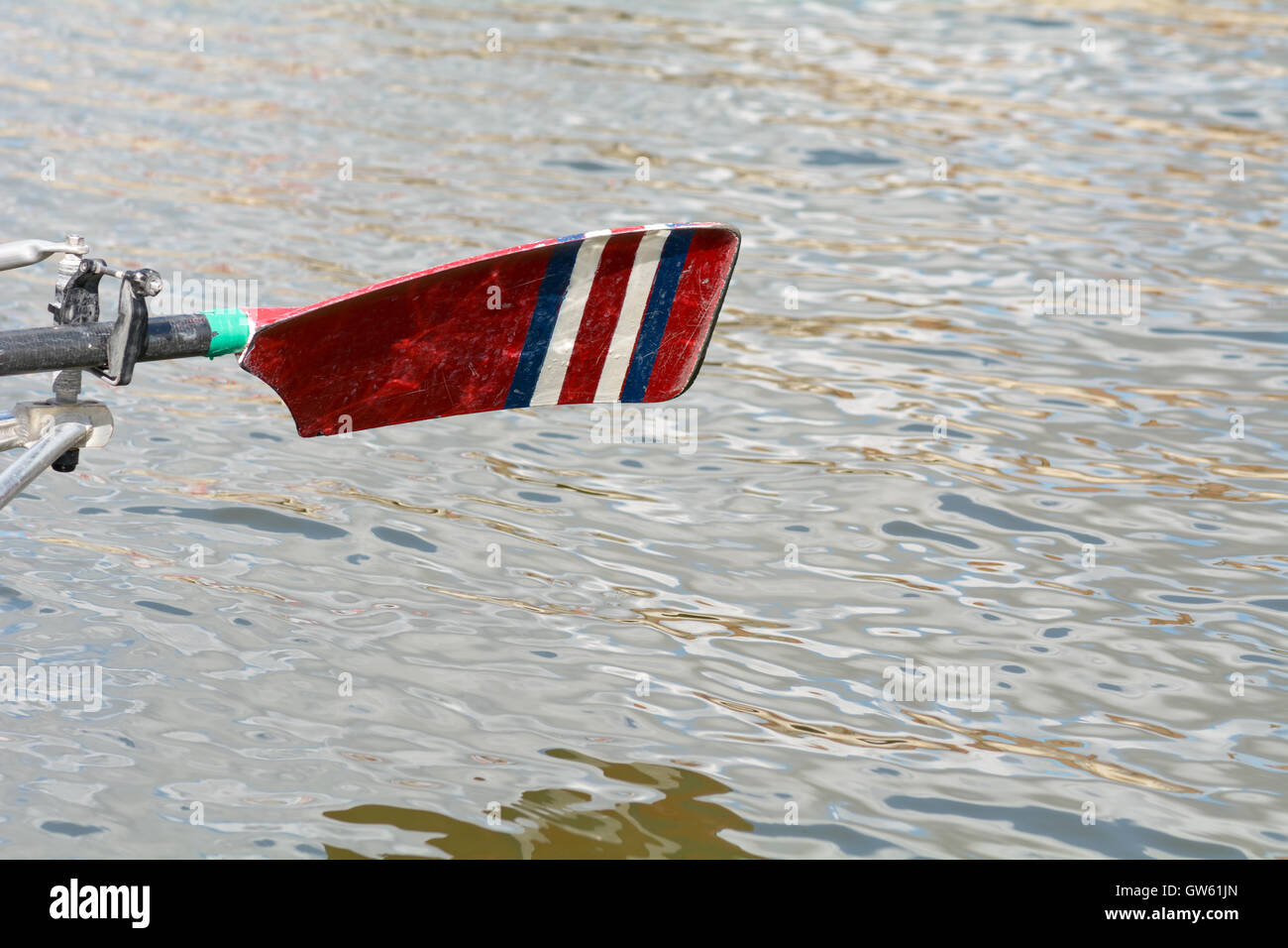 Rowing boat oar poised above the water Stock Photo - Alamy