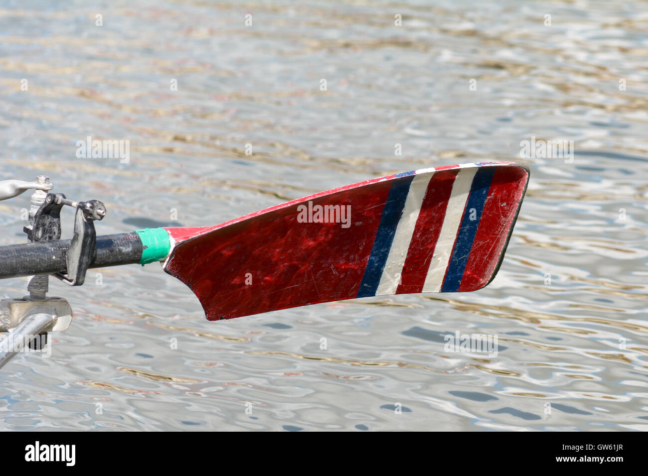 Rowing boat oar poised above the water Stock Photo - Alamy