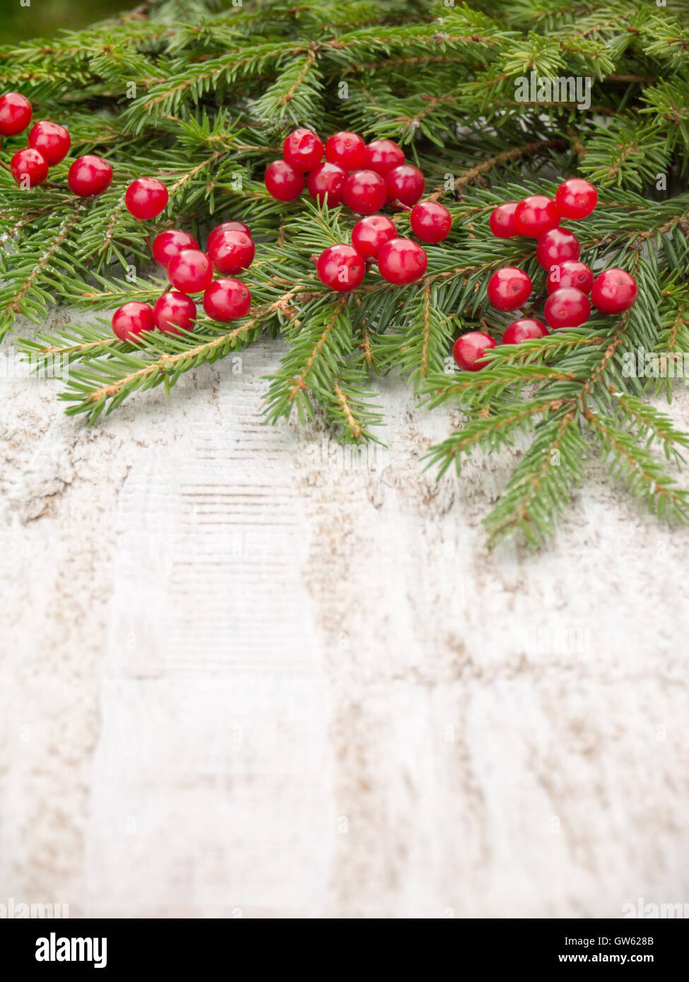 Painted tree branches hi-res stock photography and images - Alamy