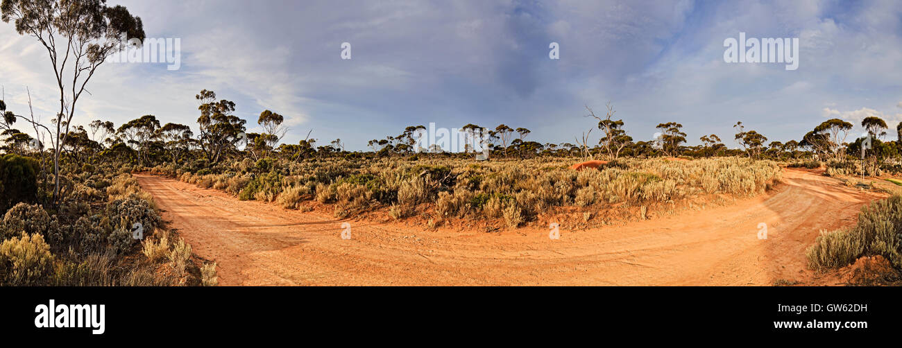 Panorama of unsealed outback road in Western Australia bushland near ...