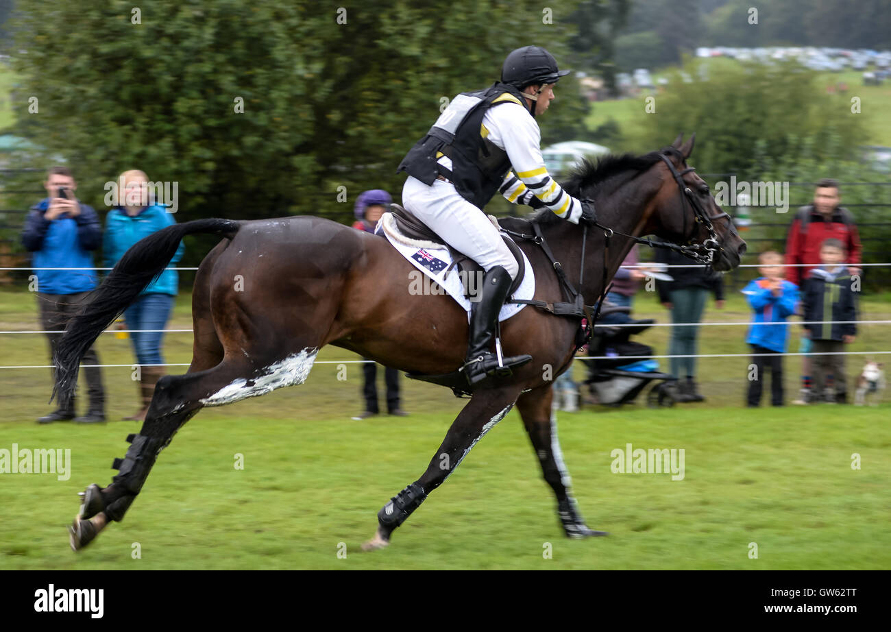 Olympic-level equestrian event with competing riders from UK, Europe ...