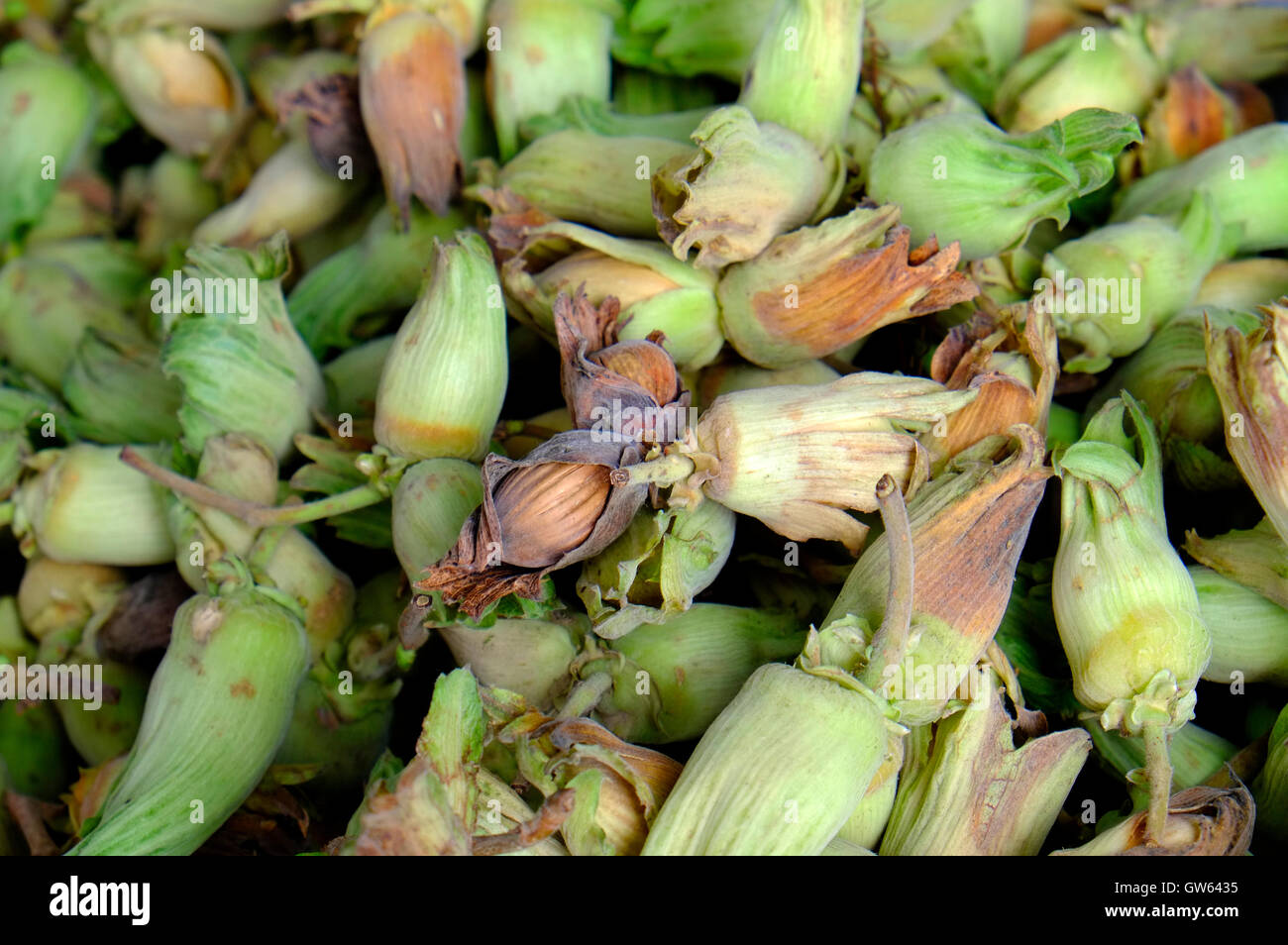 cob nuts on market stall, norfolk, england Stock Photo - Alamy