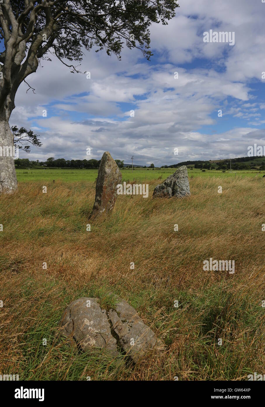 St colmacs standing stones hi-res stock photography and images - Alamy