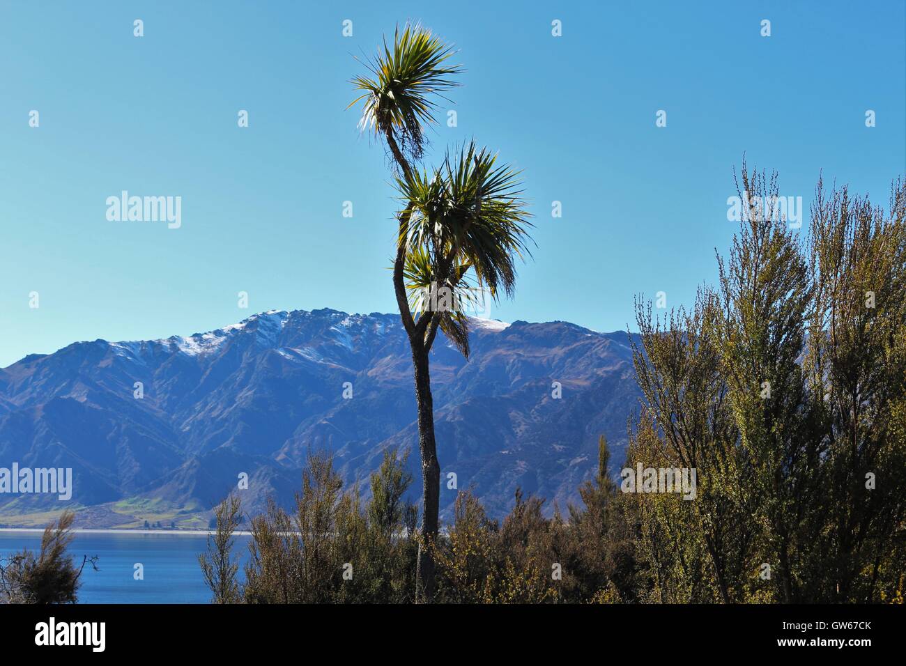 Hawea island hi-res stock photography and images - Alamy