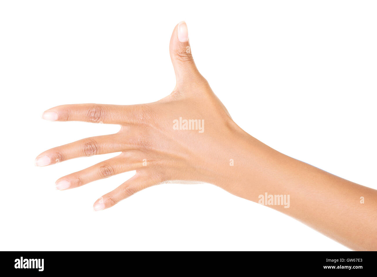 Woman hand (palm Stock Photo - Alamy