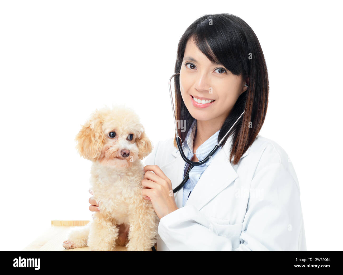 Asian female veterinarian Stock Photo - Alamy