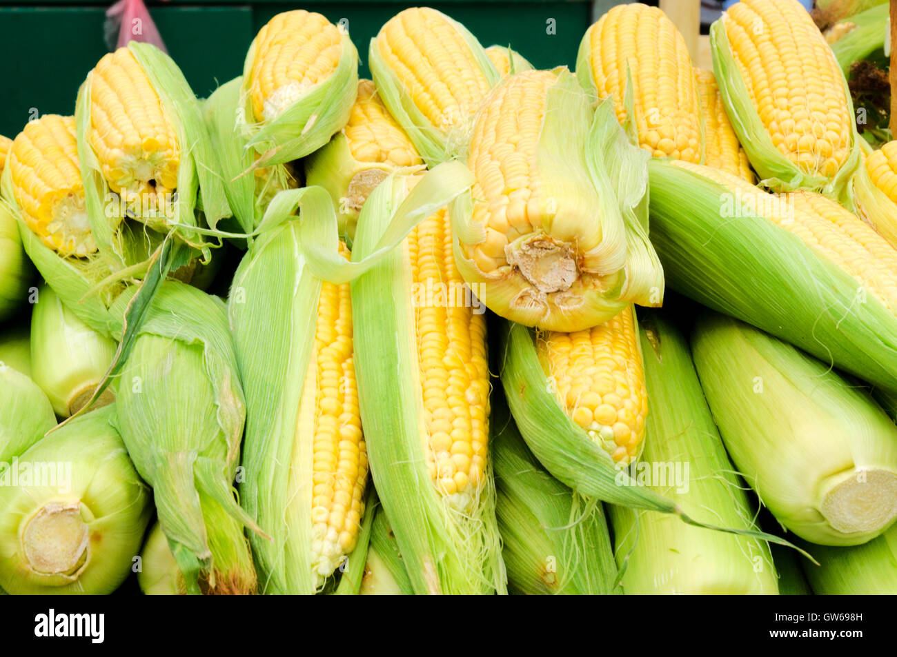 Corn in the market Stock Photo - Alamy