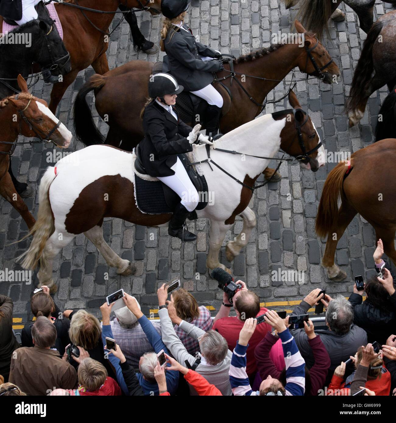 Some of the 280 horses ride up the Royal Mile during the Edinburgh ...