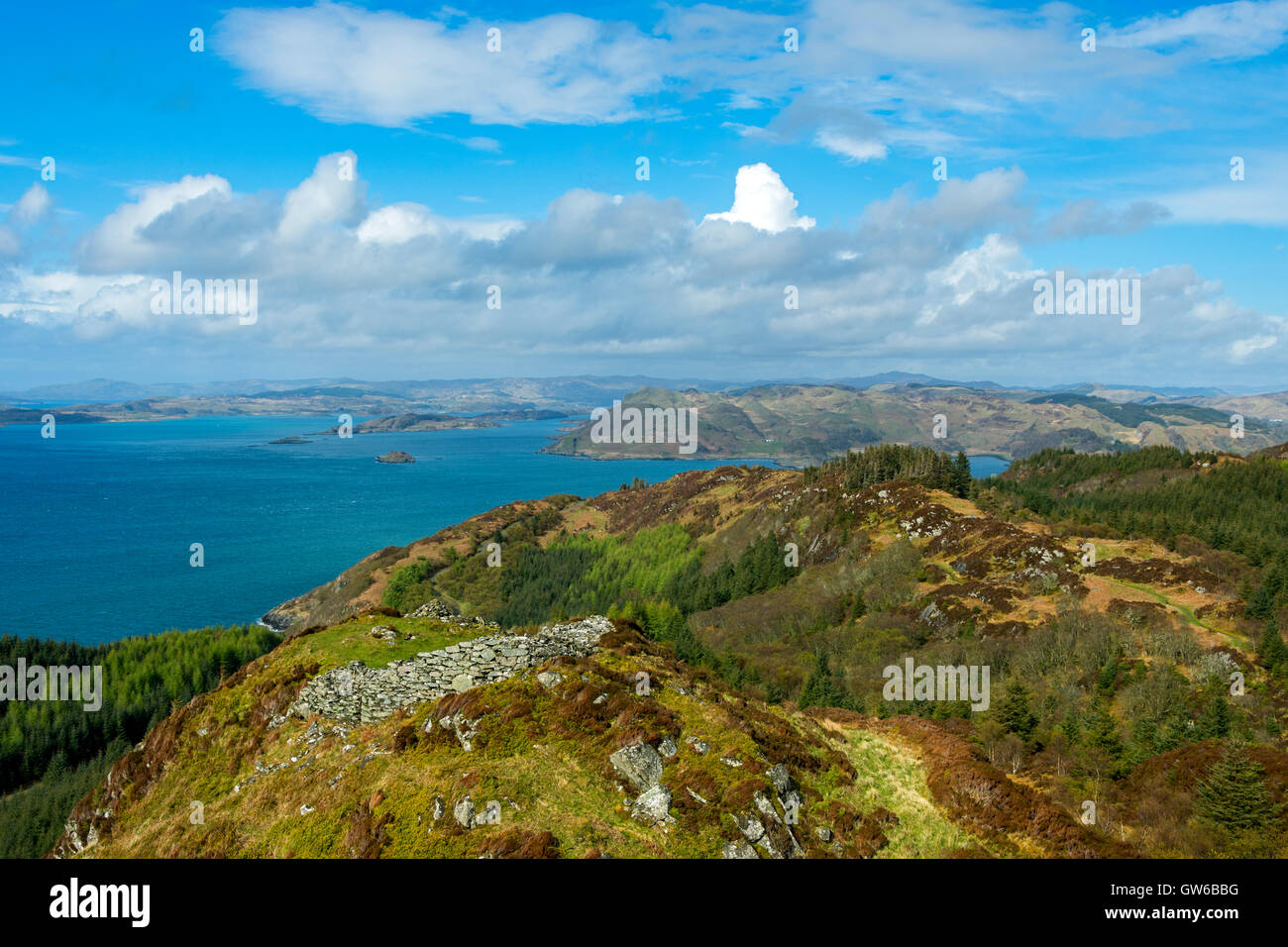 Fort forest hi-res stock photography and images - Alamy