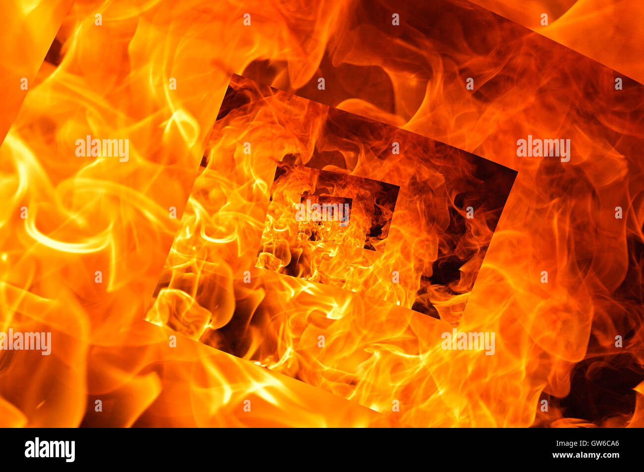 Yellow flame tree hi-res stock photography and images - Alamy