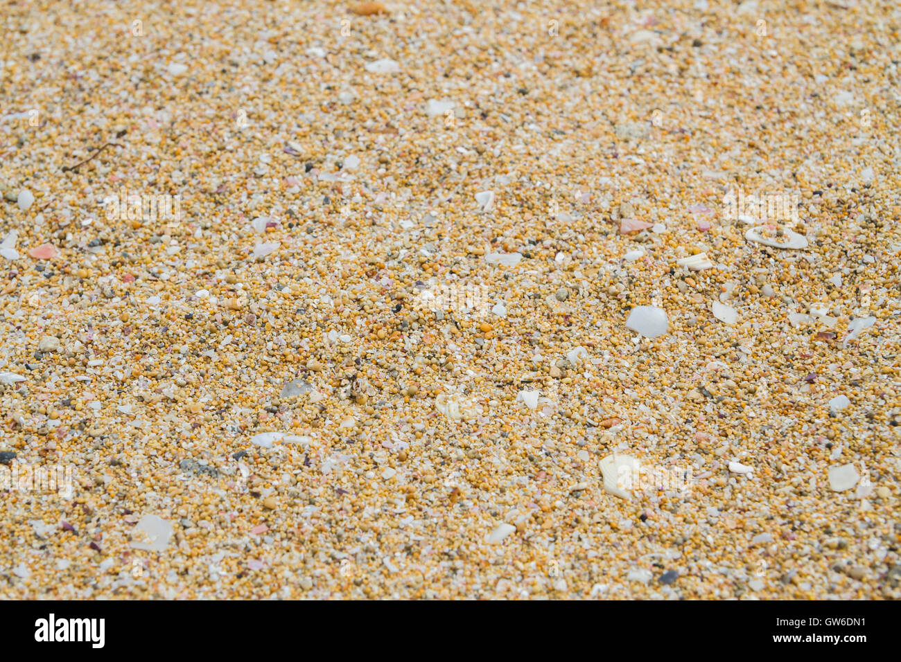 Yellow sand pebble beach hi-res stock photography and images - Alamy