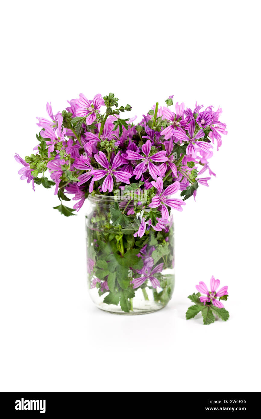 wild violet flowers in glass jar Stock Photo - Alamy