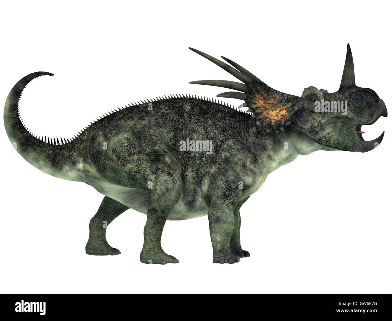 Styracosaurus hi-res stock photography and images - Alamy