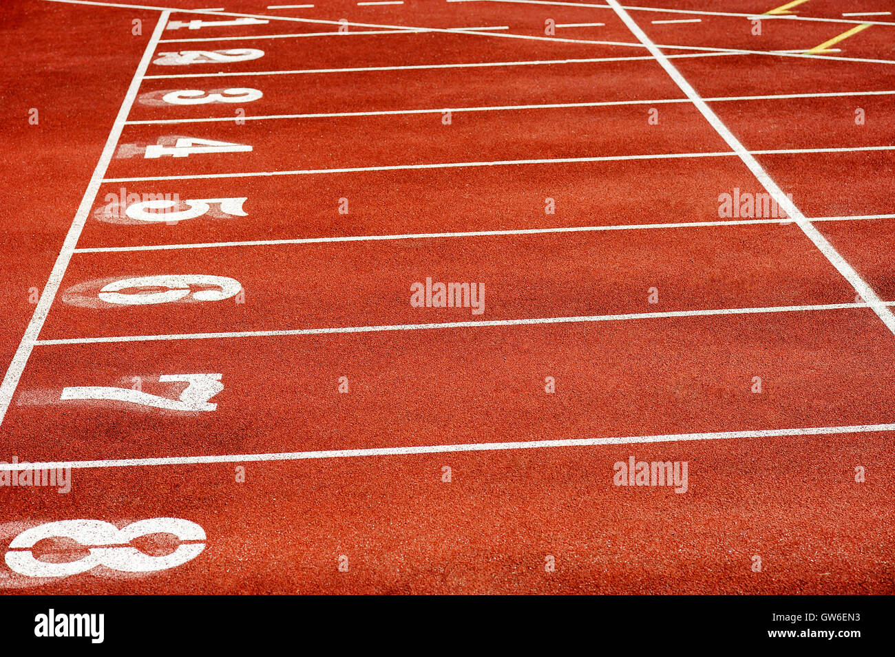 Eight runner tracks in a sport stadium Stock Photo - Alamy