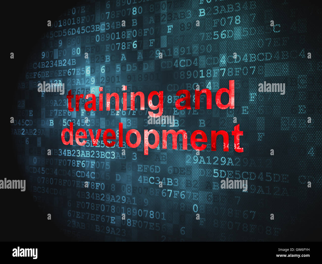 Education concept: Training and Development on digital backgroun Stock ...