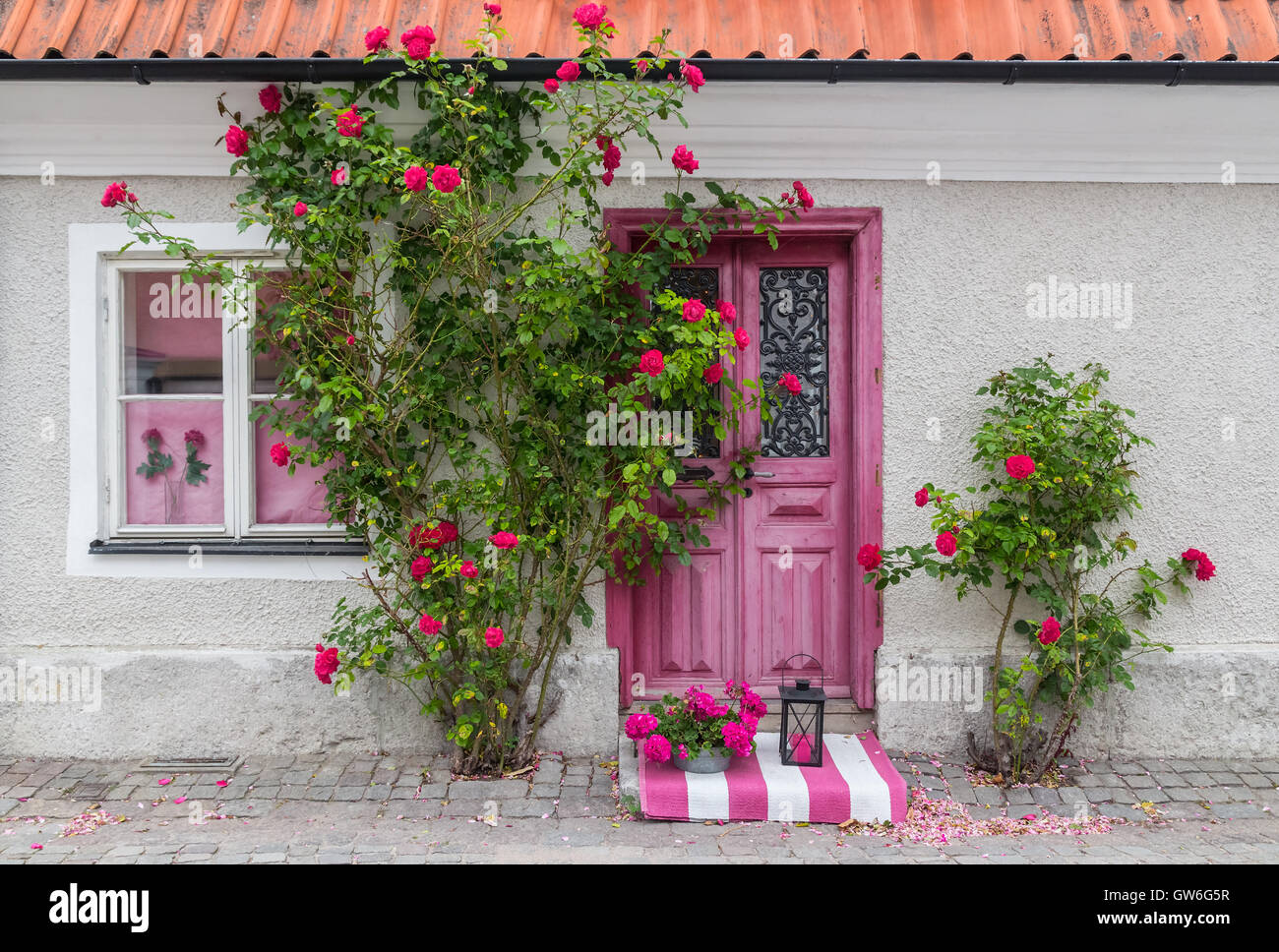 Roses decorating the house entrance Stock Photo - Alamy