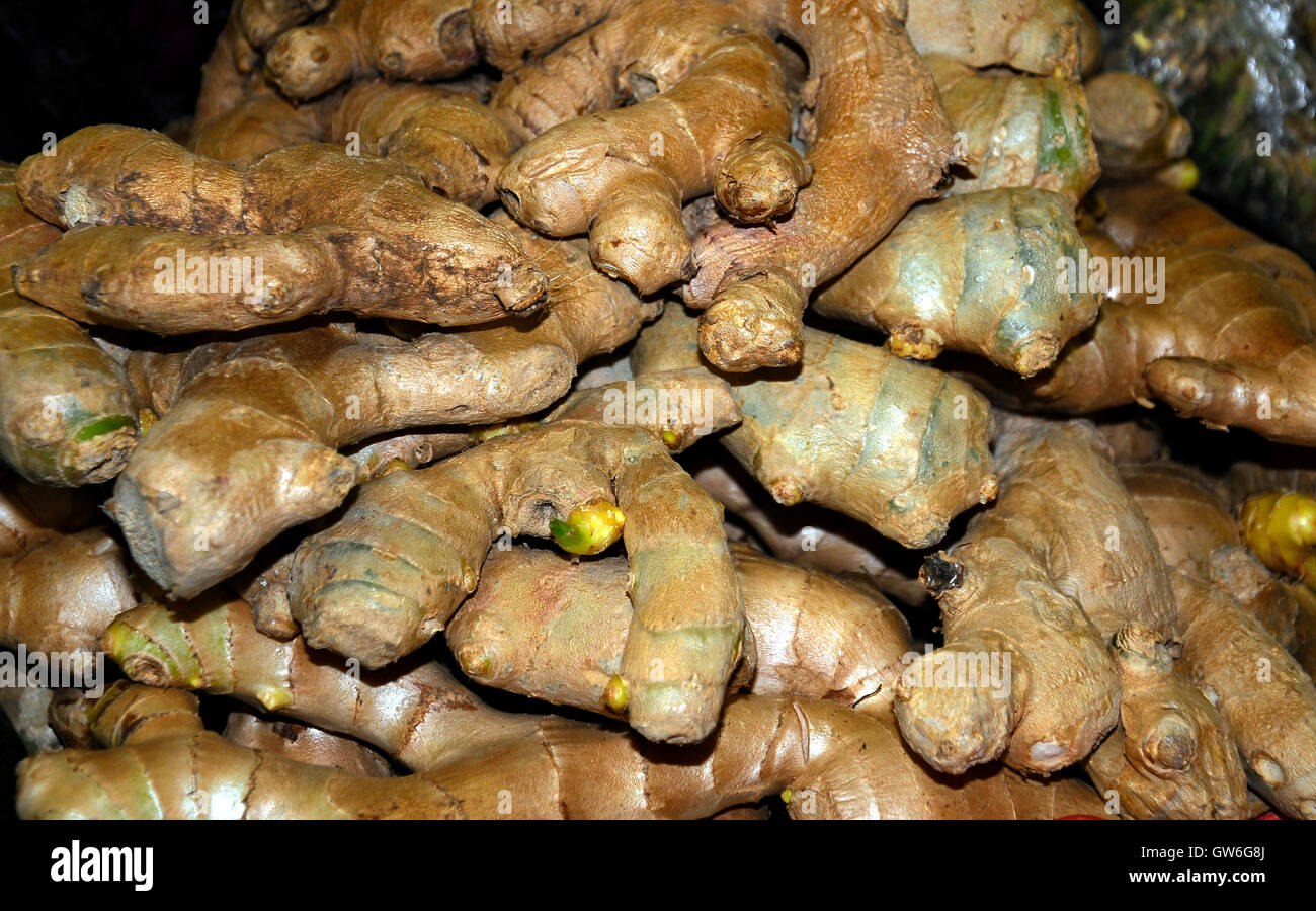 Ginger exposed in the shop Stock Photo - Alamy