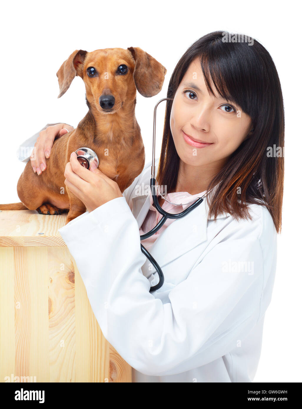 Asian vet hi-res stock photography and images - Alamy