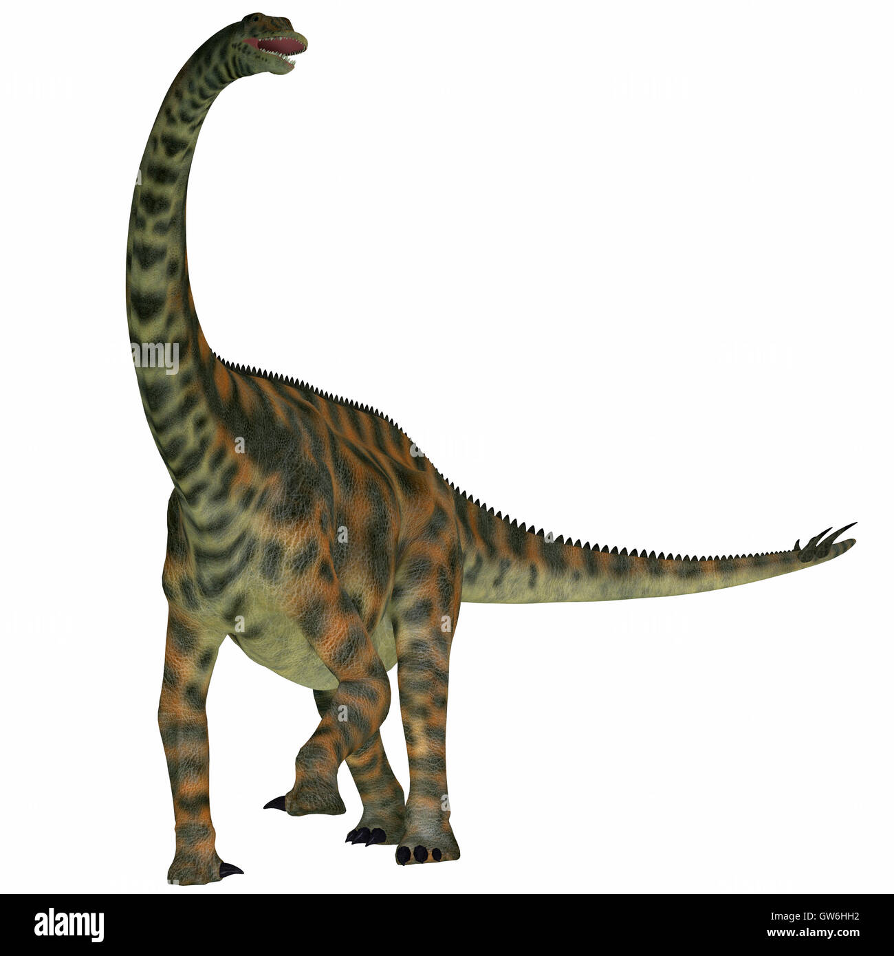 Spinophorosaurus sauropod dinosaur hi-res stock photography and images ...
