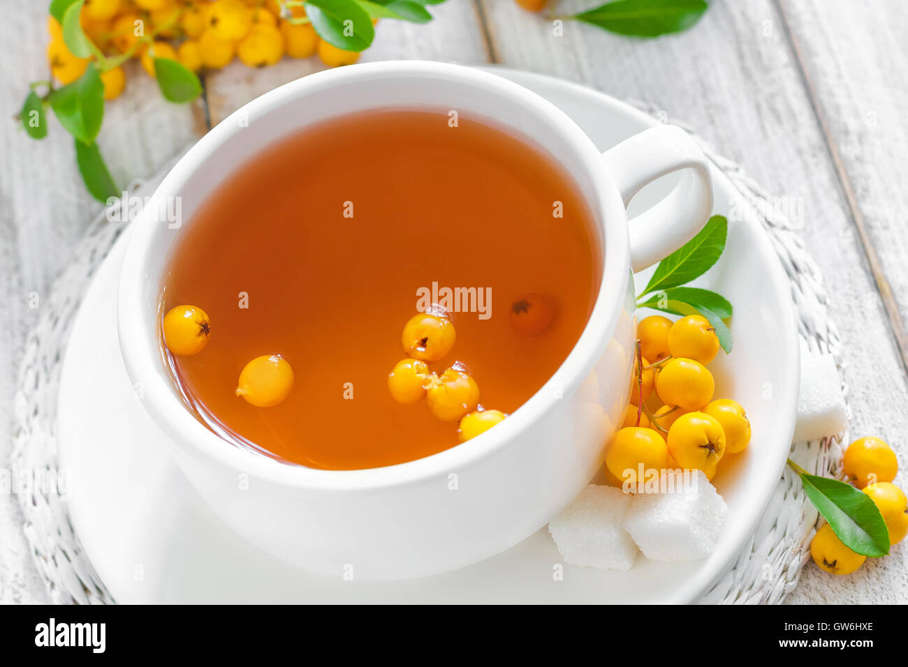 Hawthorn tea hi-res stock photography and images - Alamy