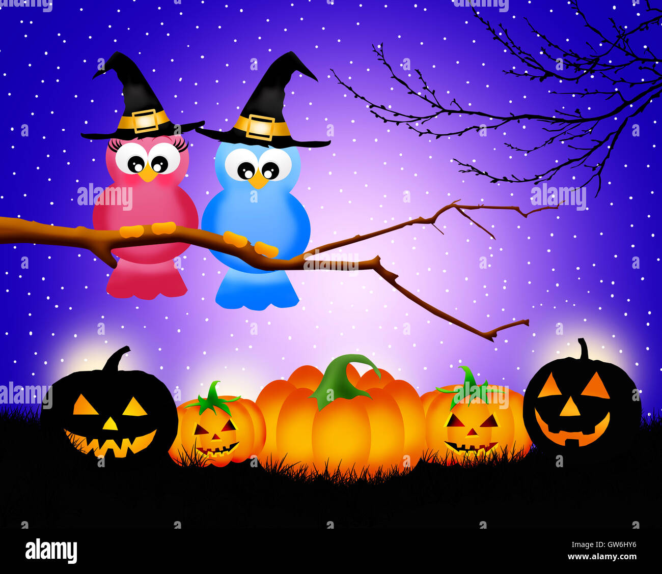 Birds of Halloween Stock Photo - Alamy