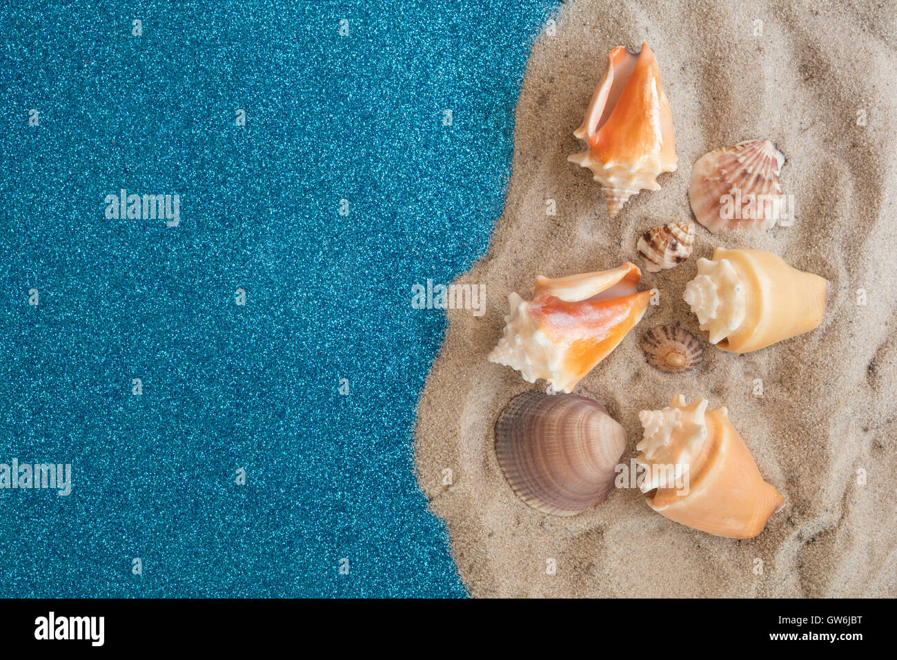 Group of sea conchs and shells placed on beach sand and shiny bright ...