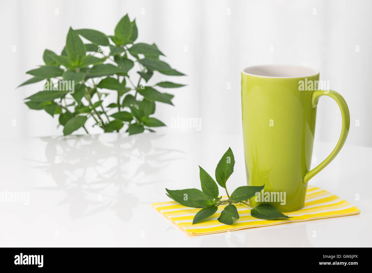 Green teacup and fresh mint Stock Photo - Alamy