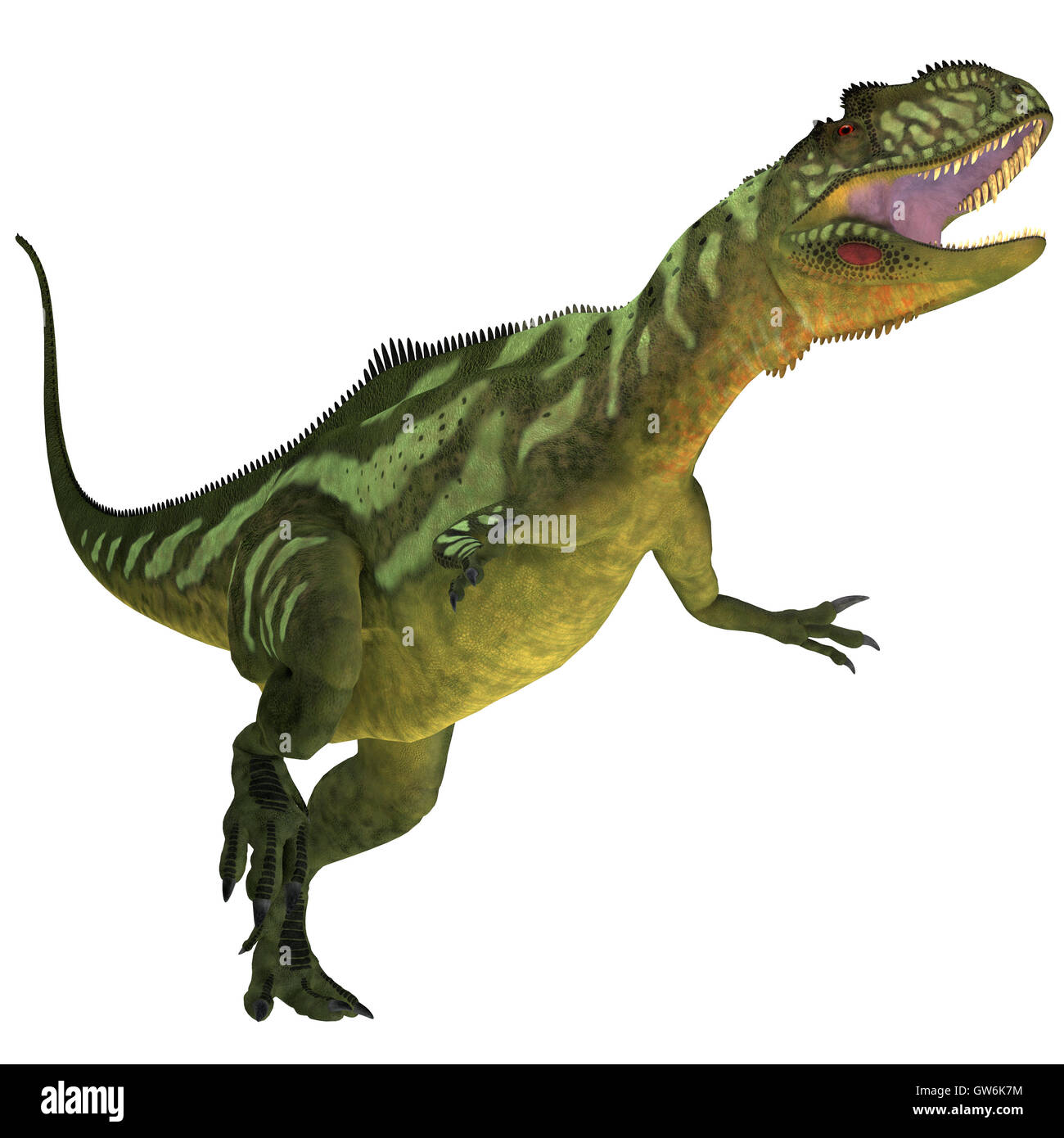 Carnivore Yangchuanosaurus Dinosaur High Resolution Stock Photography ...