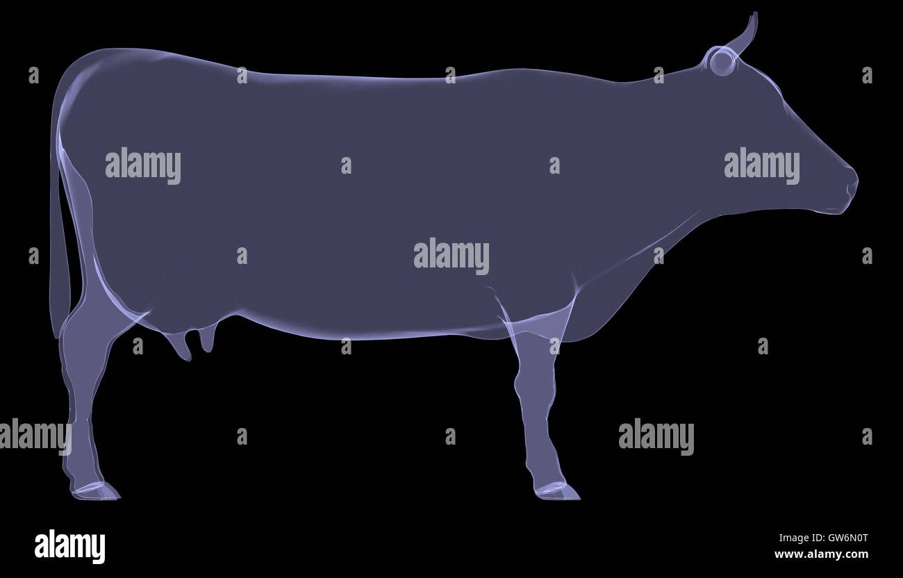 Milk xray hi-res stock photography and images - Alamy