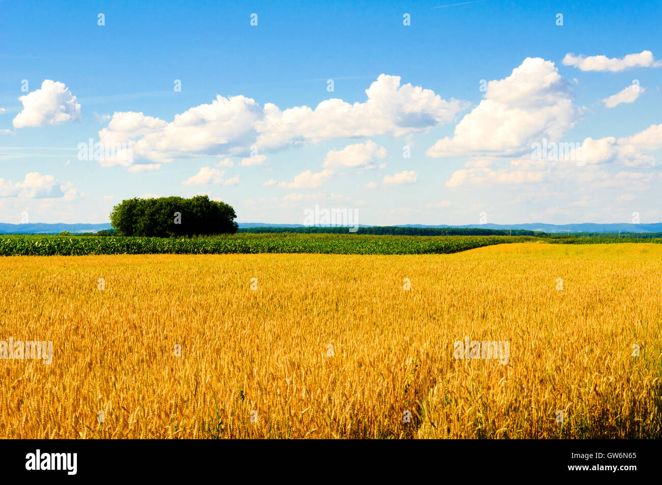 Cloudscape cloudy hi-res stock photography and images - Alamy