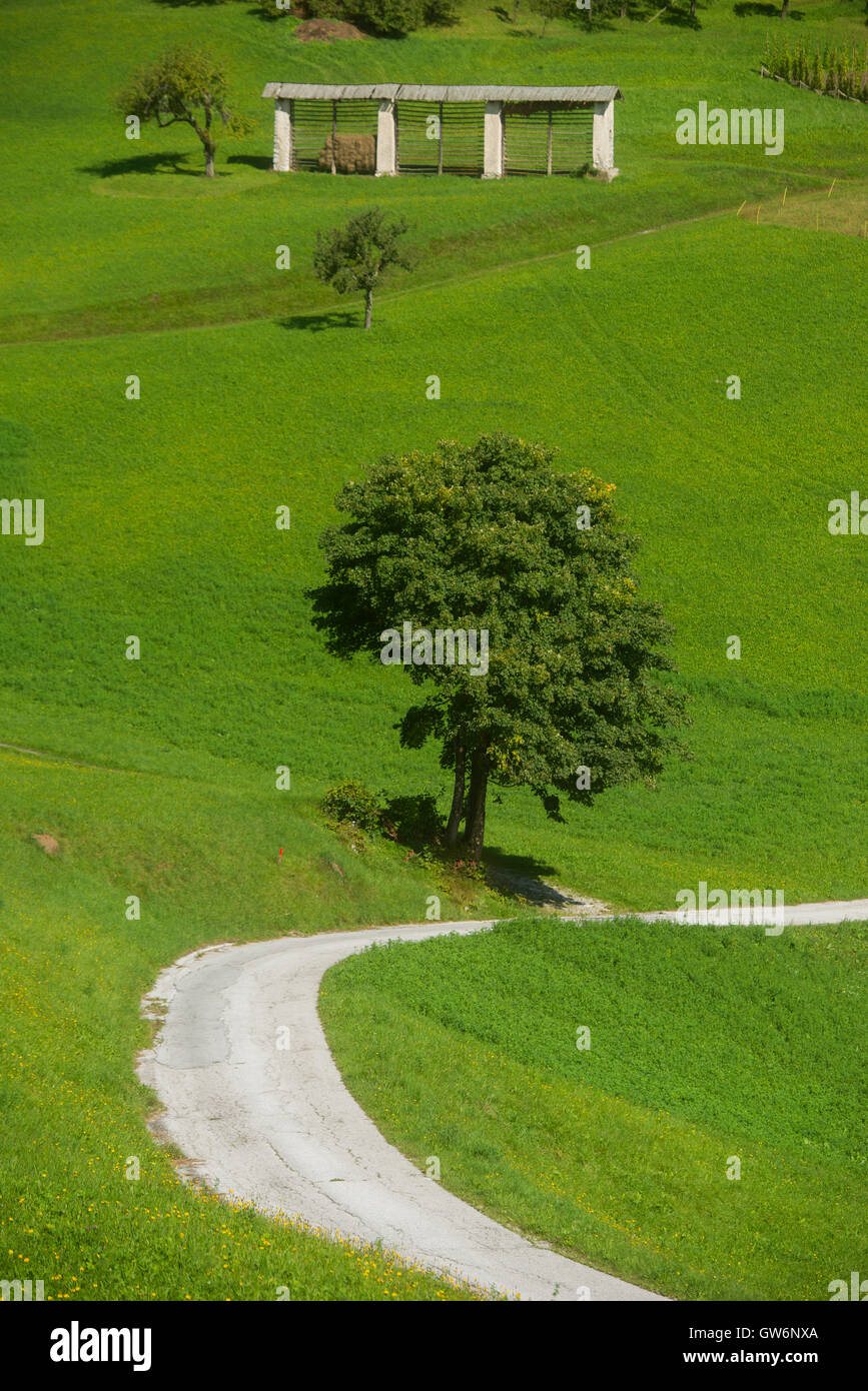 Beautiful forest village hi-res stock photography and images - Alamy