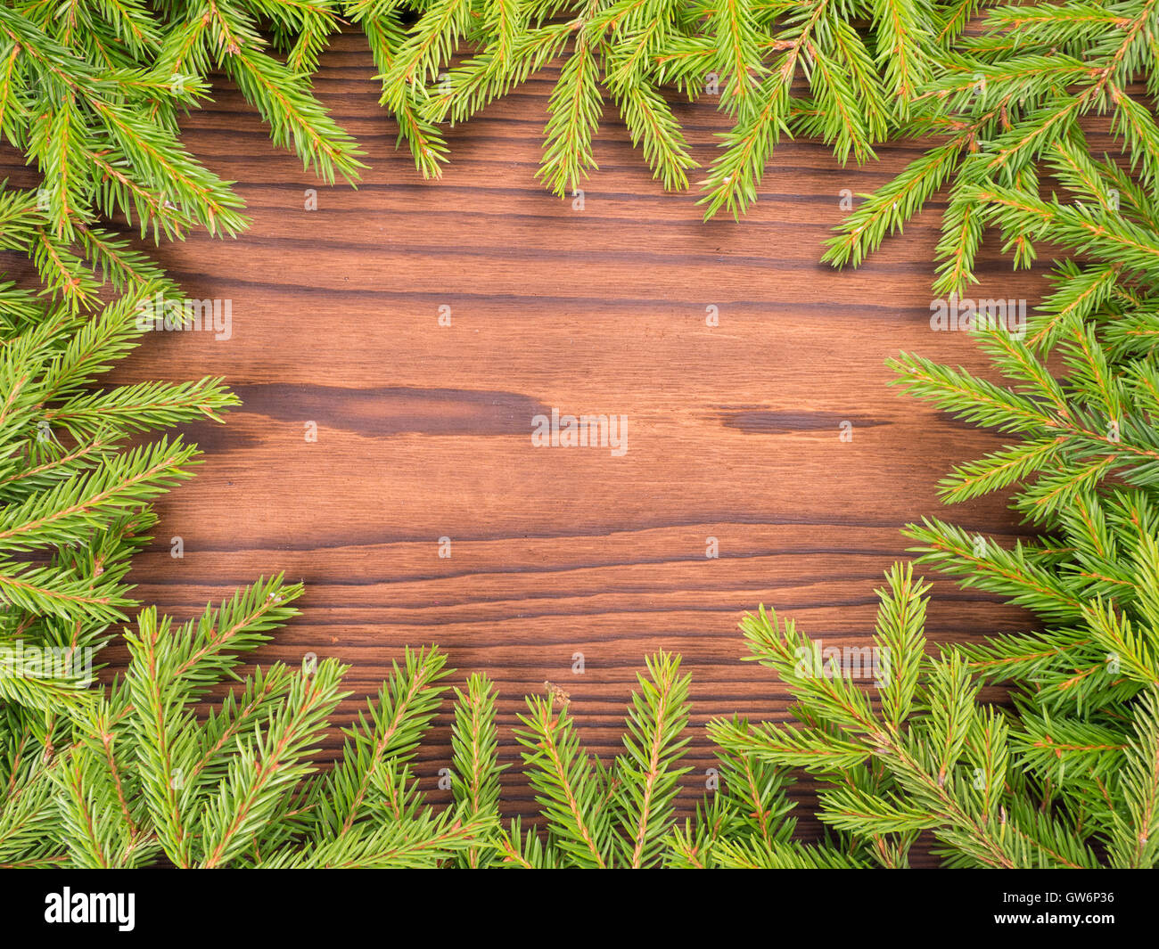 Tree frame hi-res stock photography and images - Alamy