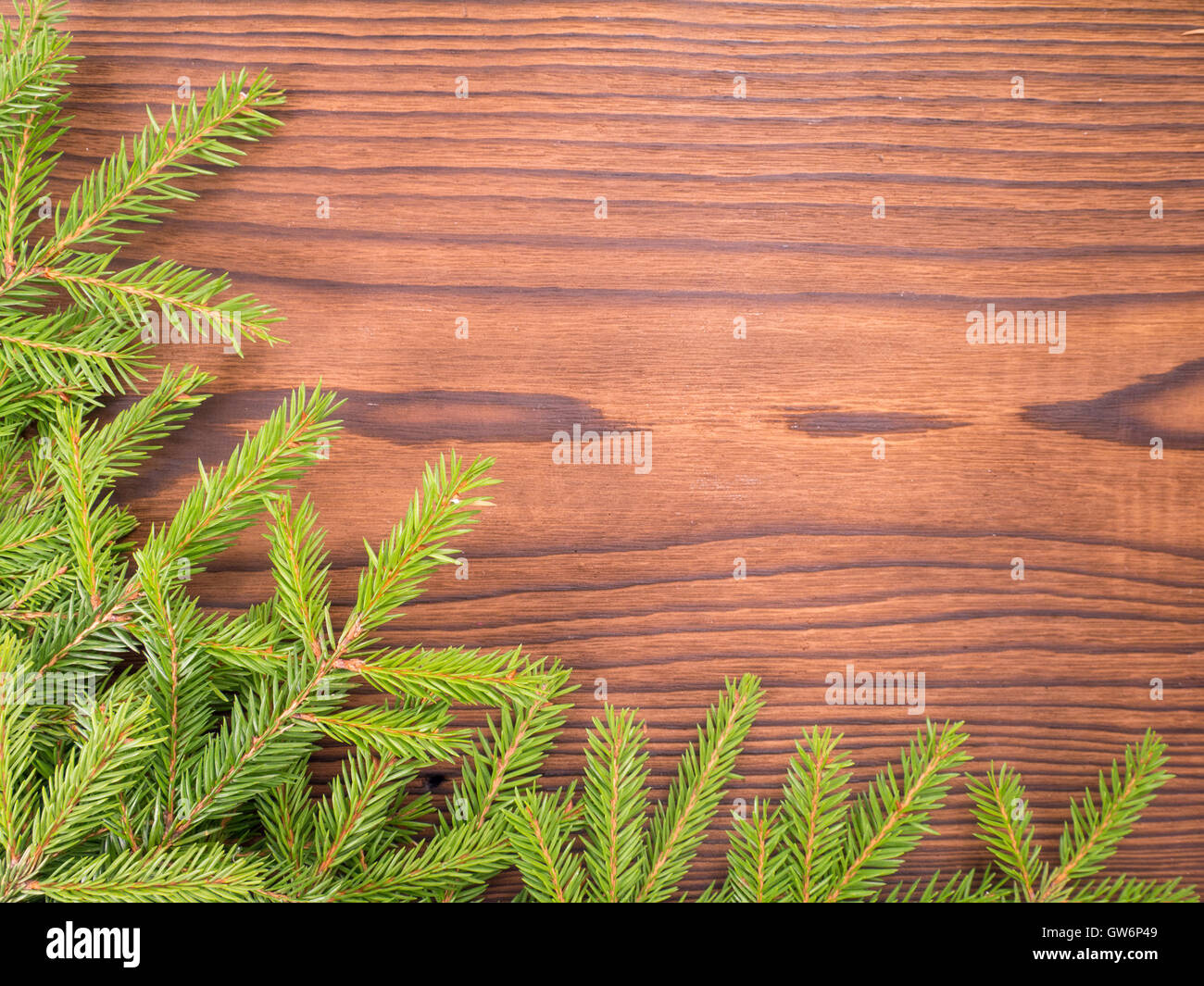 Dark tree branches hi-res stock photography and images - Alamy