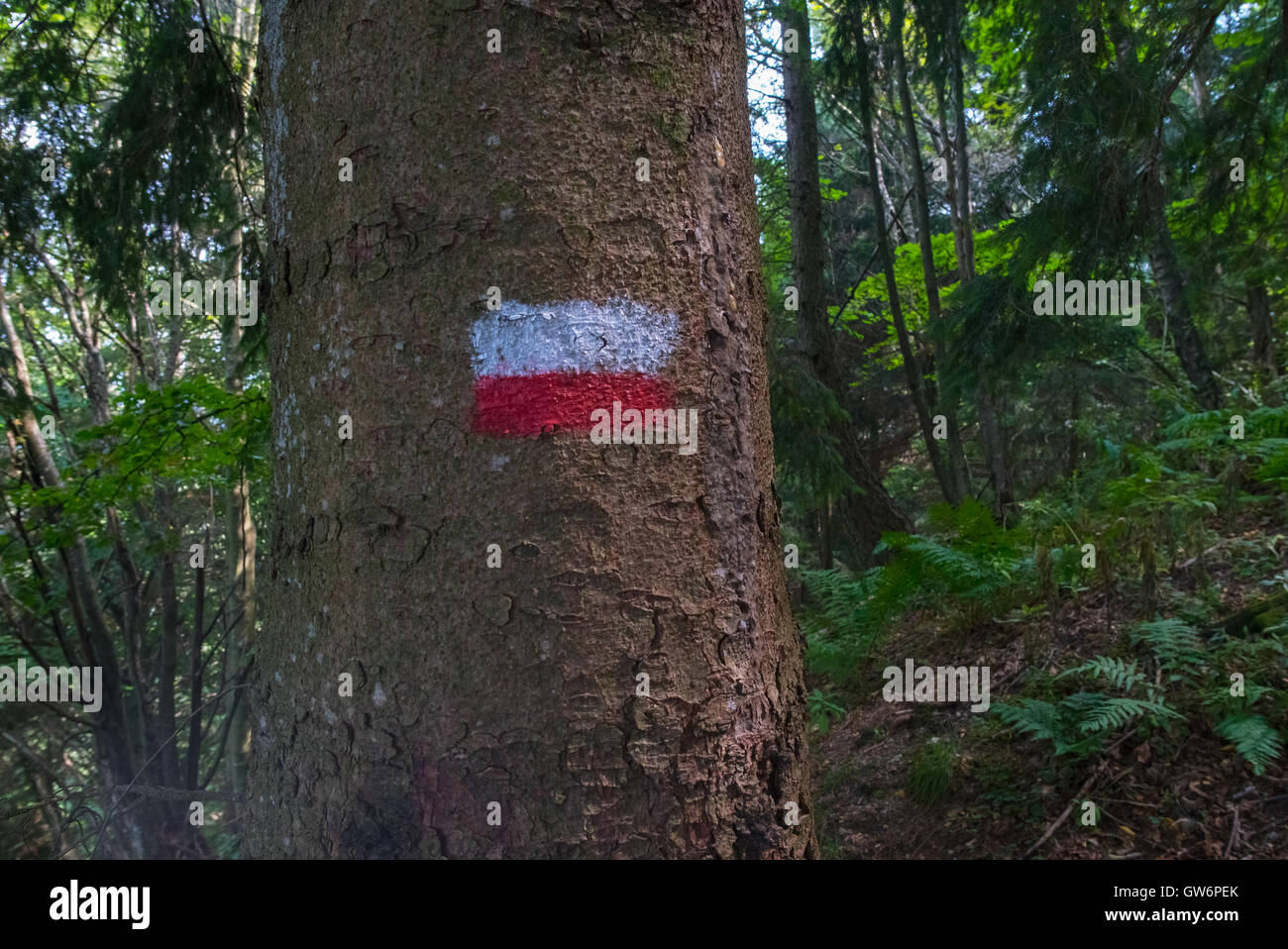 Sign of a mountain trail Stock Photo - Alamy
